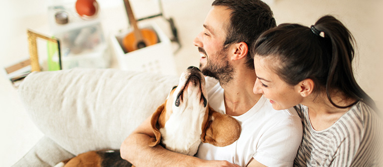 Leading Mortgage Brokers NZ | Mortgages | Speak To Mike Pero Advisers